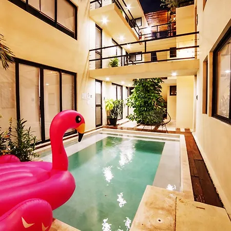 HOTEL INDIGO PLAYA DEL CARMEN BY IHG , Mexico